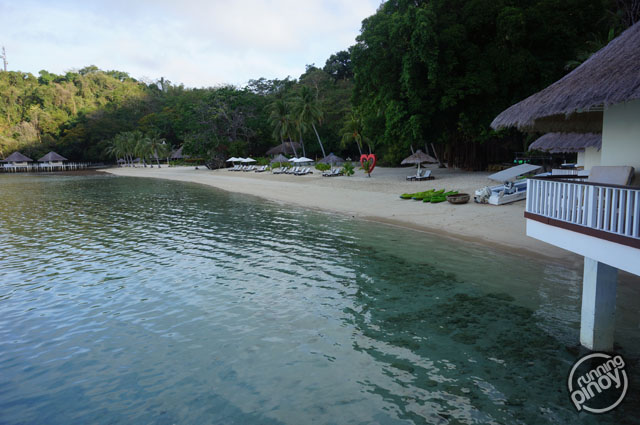 Palawan Chronicles: Meeting the “Locals” – runningpinoy